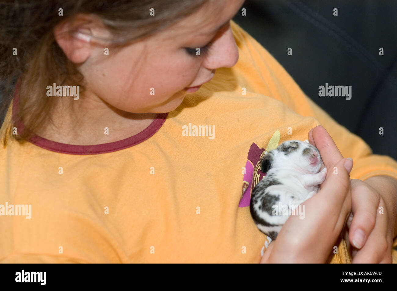 Six rabbits hi-res stock photography and images - Alamy