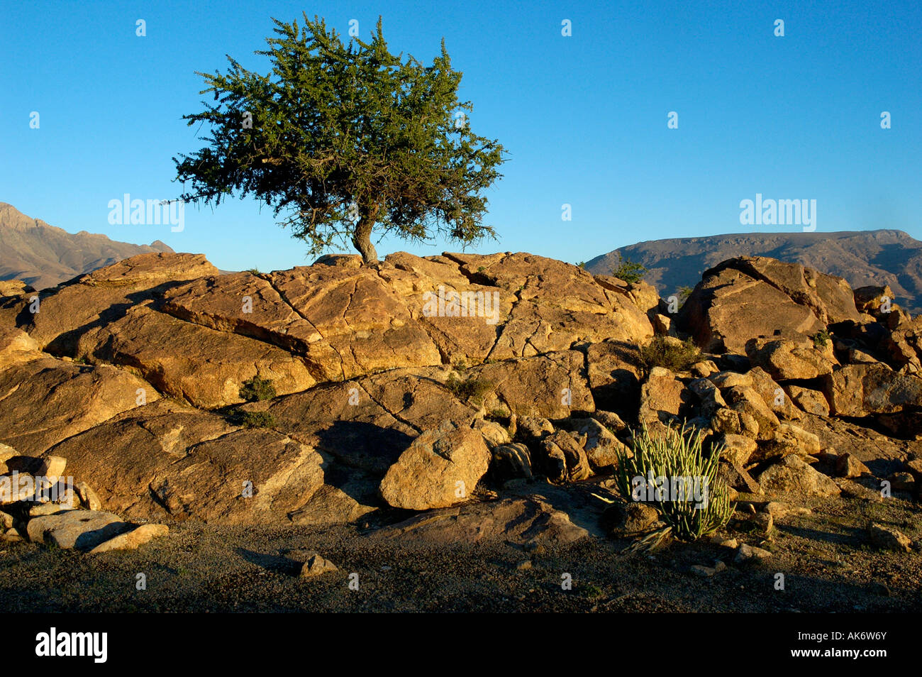 Ouaday hi-res stock photography and images - Alamy