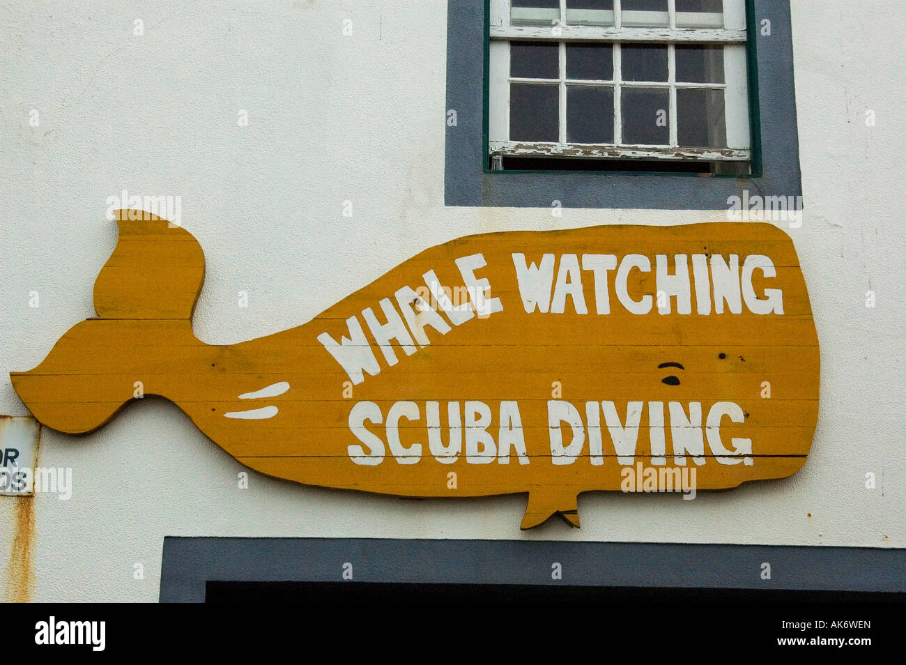 Sign Whale Watching / Island Pico Stock Photo - Alamy