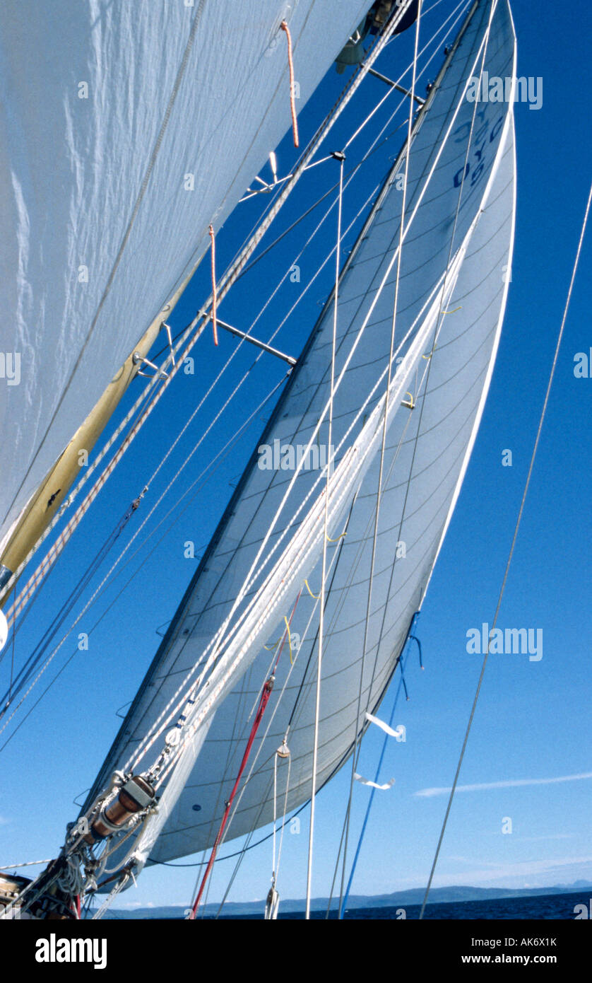 Sails on a Yacht in full flight Stock Photo - Alamy