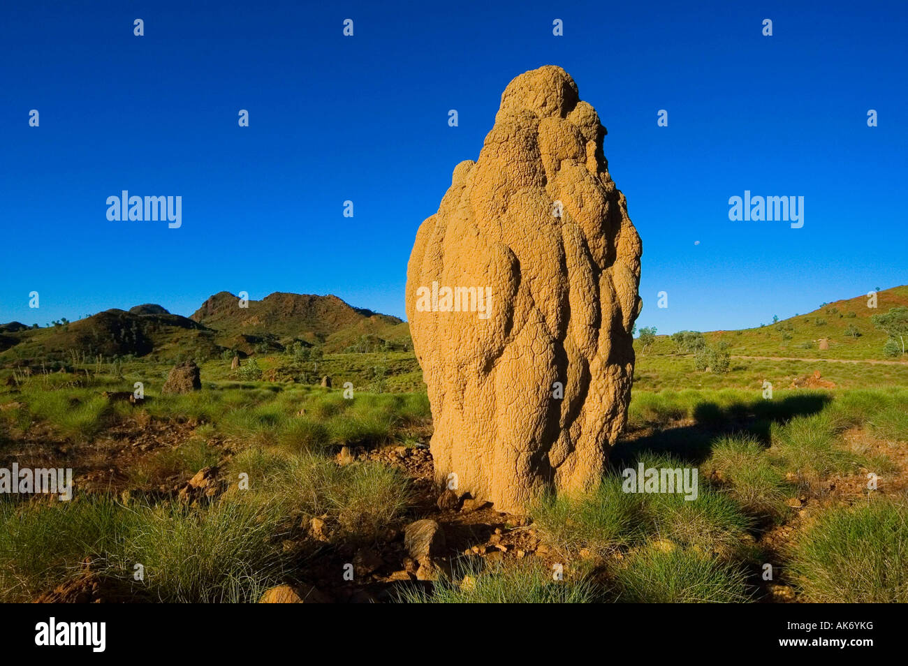 Termite hill hi-res stock photography and images - Alamy
