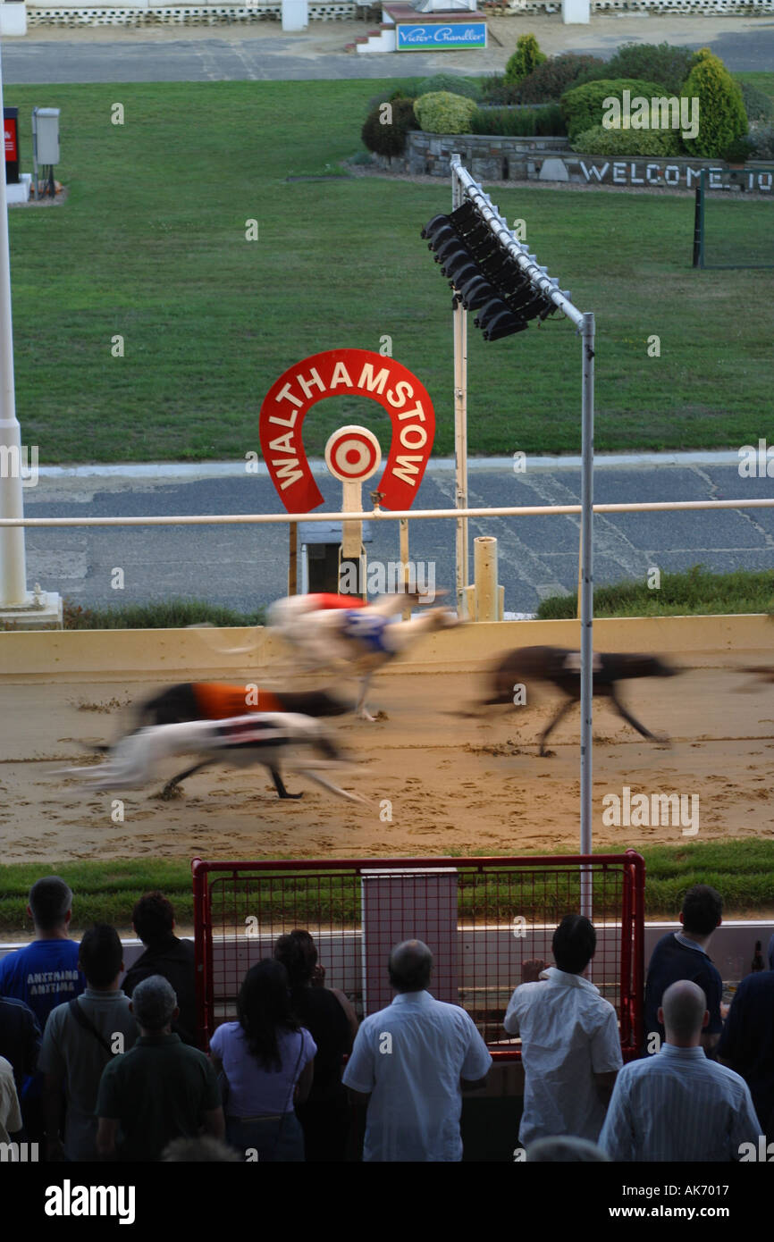 Walthamstow stadium hi-res stock photography and images - Alamy