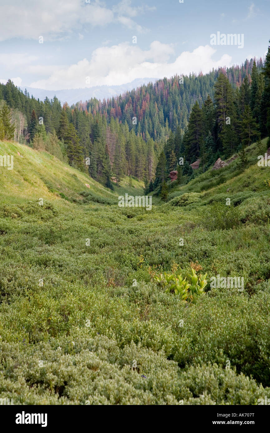 Snipes mountain hi-res stock photography and images - Alamy
