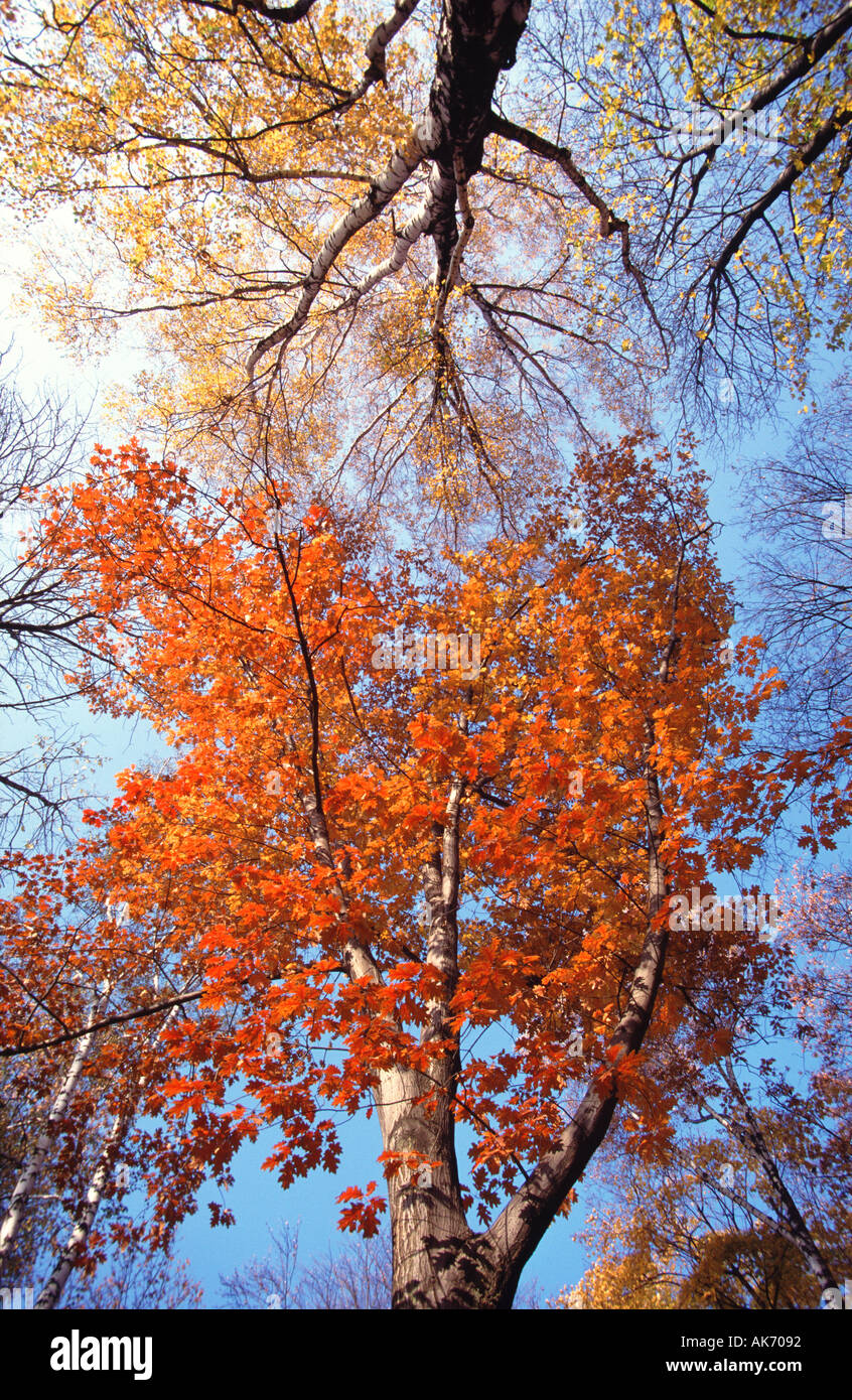 Poland in fall hi-res stock photography and images - Alamy