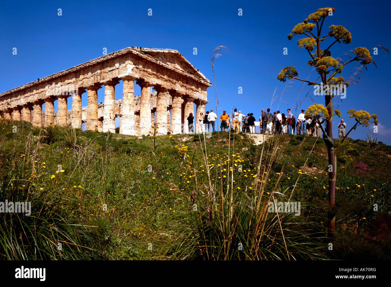 Greek temple / Segesta Stock Photo - Alamy
