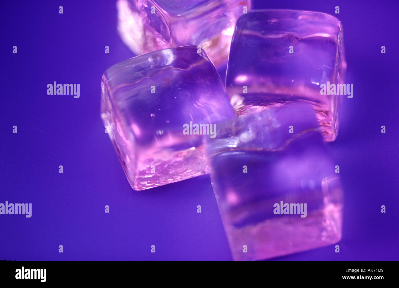 Four Ice cubes against a blue purple background Stock Photo - Alamy