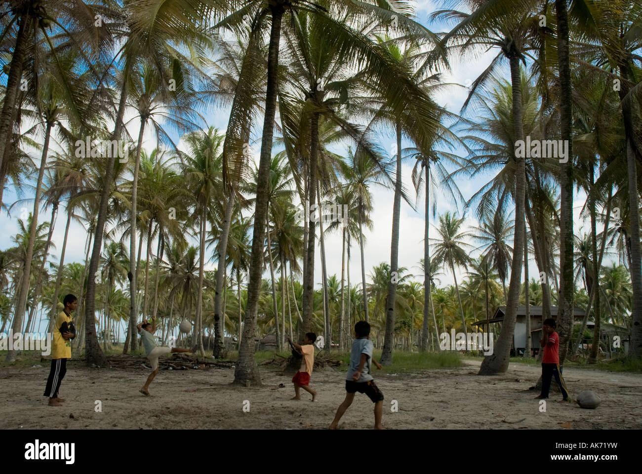 Local kids playing soccer or football under hundreds of coconut trees ...