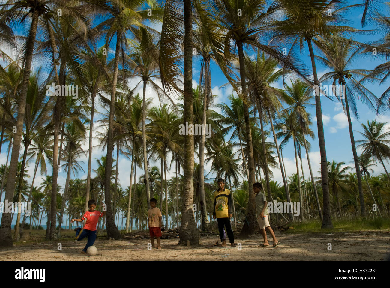 Local kids playing soccer or football under hundreds of coconut trees ...