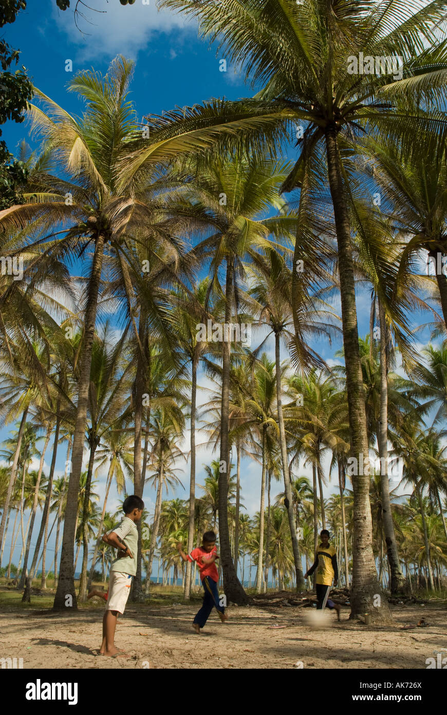 Local kids playing soccer or football under hundreds of coconut trees ...