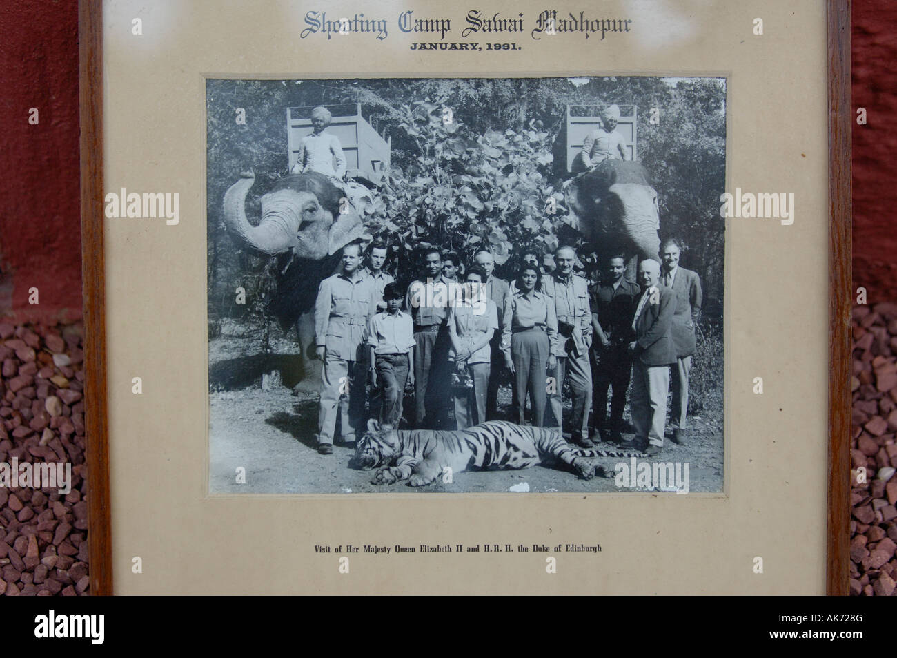 Queen elizabeth india tiger hi-res stock photography and images - Alamy