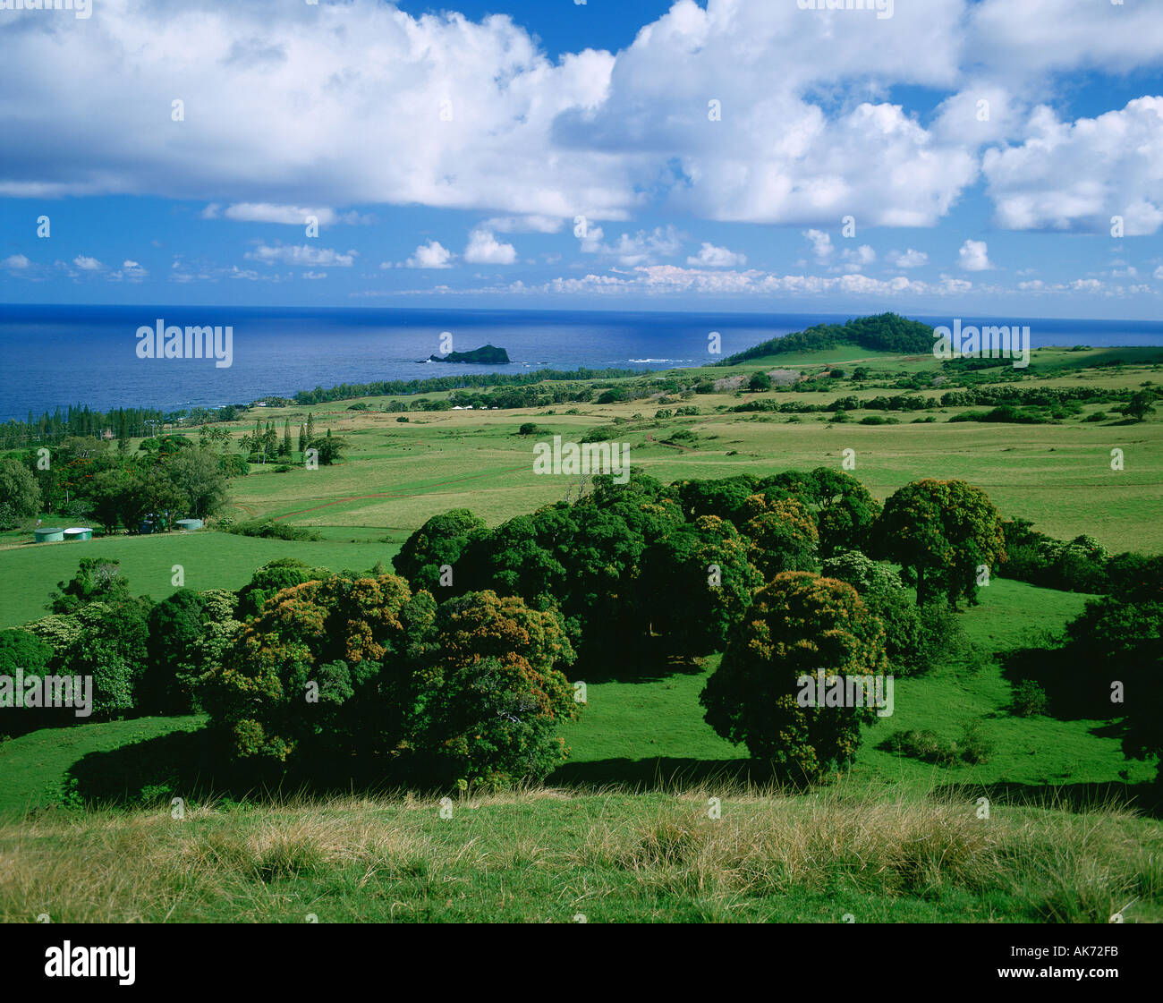 Ulupalakua hi-res stock photography and images - Alamy