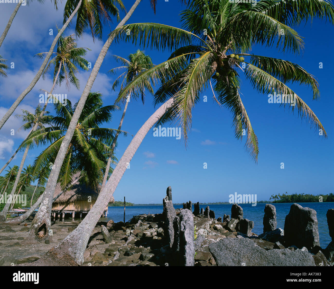 Marae temple Huahine French Polynesia Stock Photo - Alamy