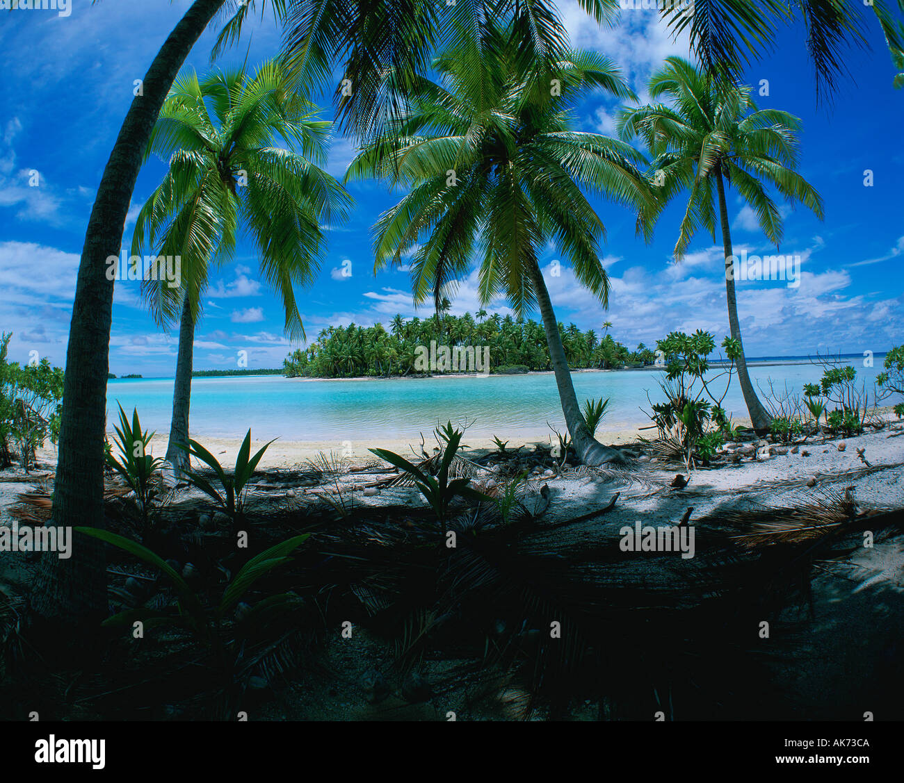 Blue Lagoon Rangiroa French Polynesia Stock Photo - Alamy