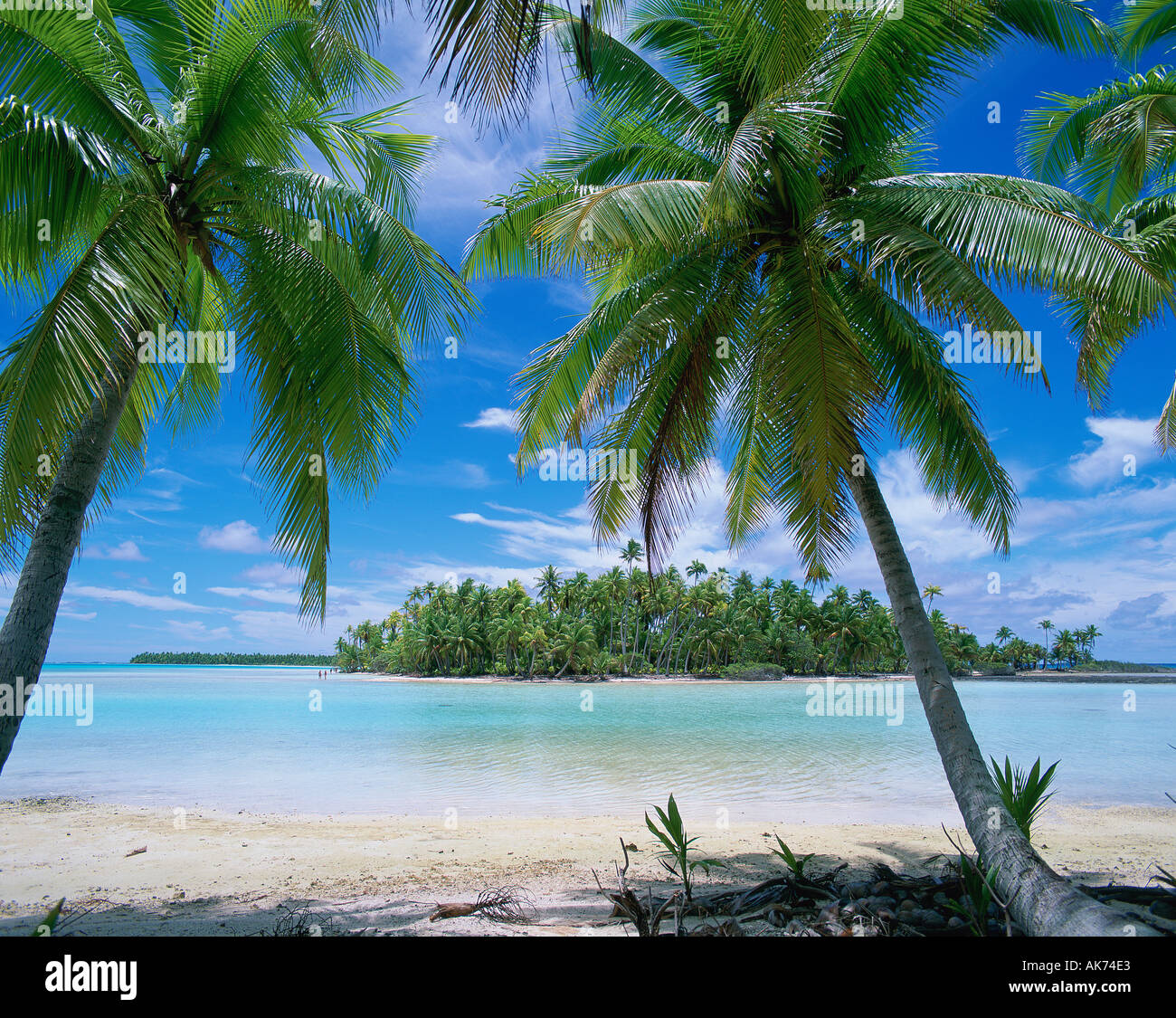 Blue Lagoon Rangiroa French Polynesia Stock Photo - Alamy