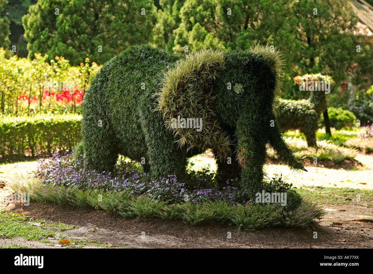 Hedge cut as elephant Stock Photo - Alamy