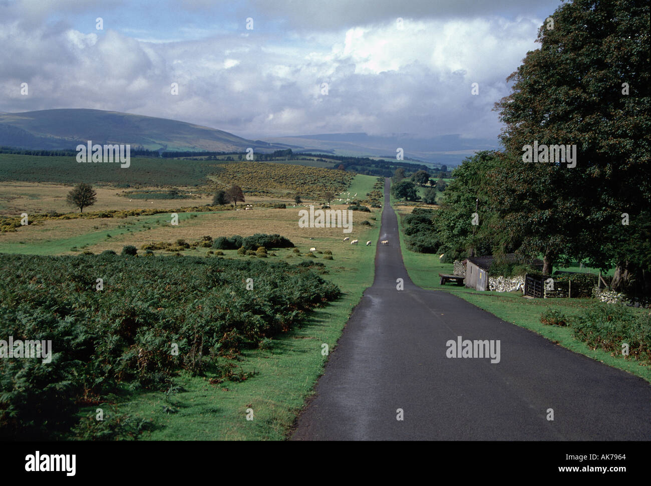 Open road, Welsh summer landscape, bright cloud, road receding into ...