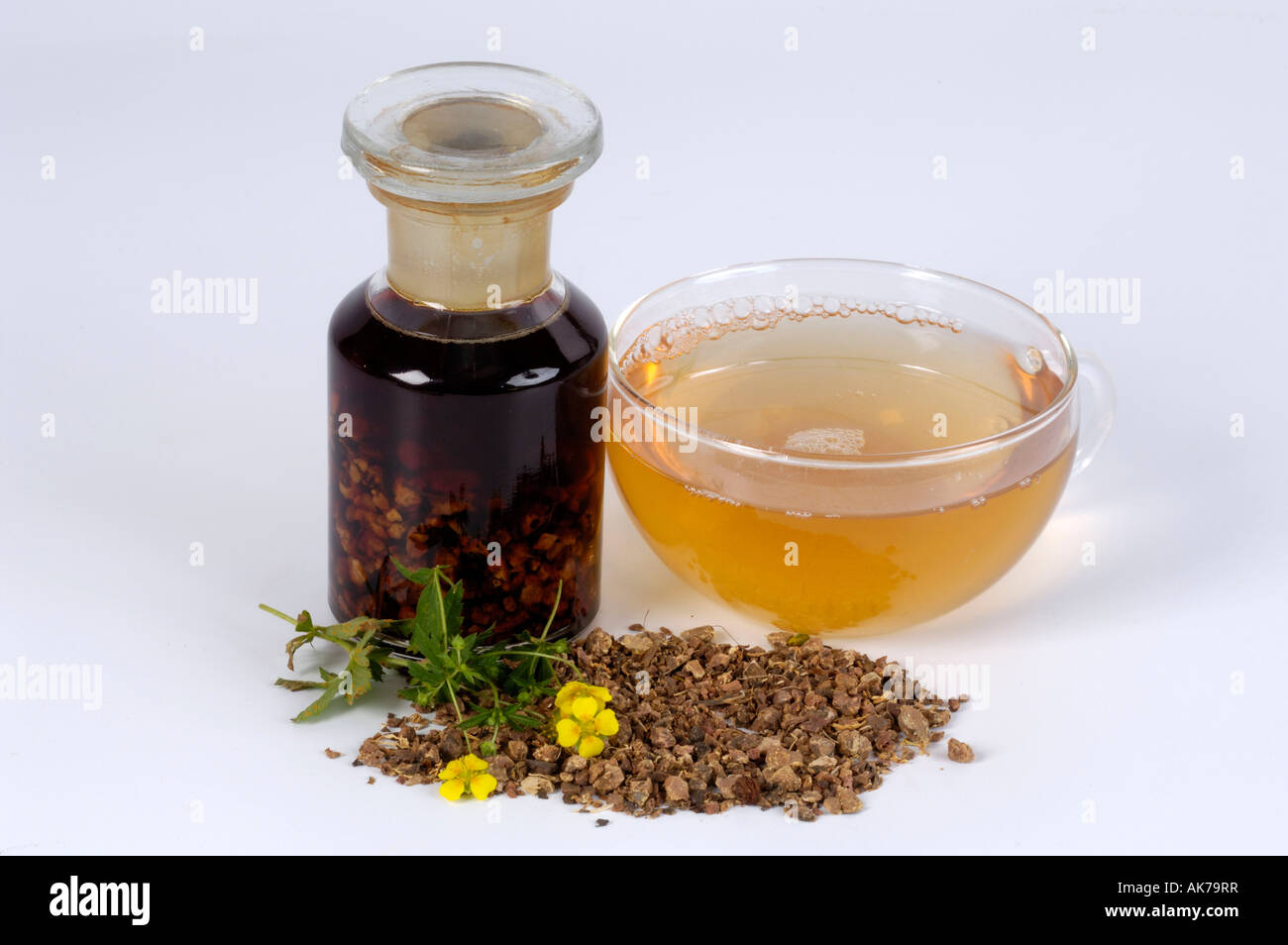 Tormentil tea hi-res stock photography and images - Alamy