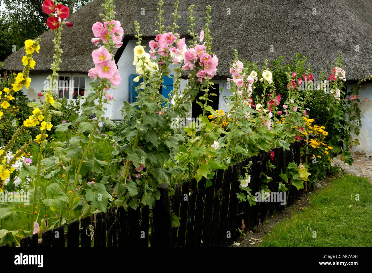 Garden fence with hollyhocks hi-res stock photography and images - Alamy