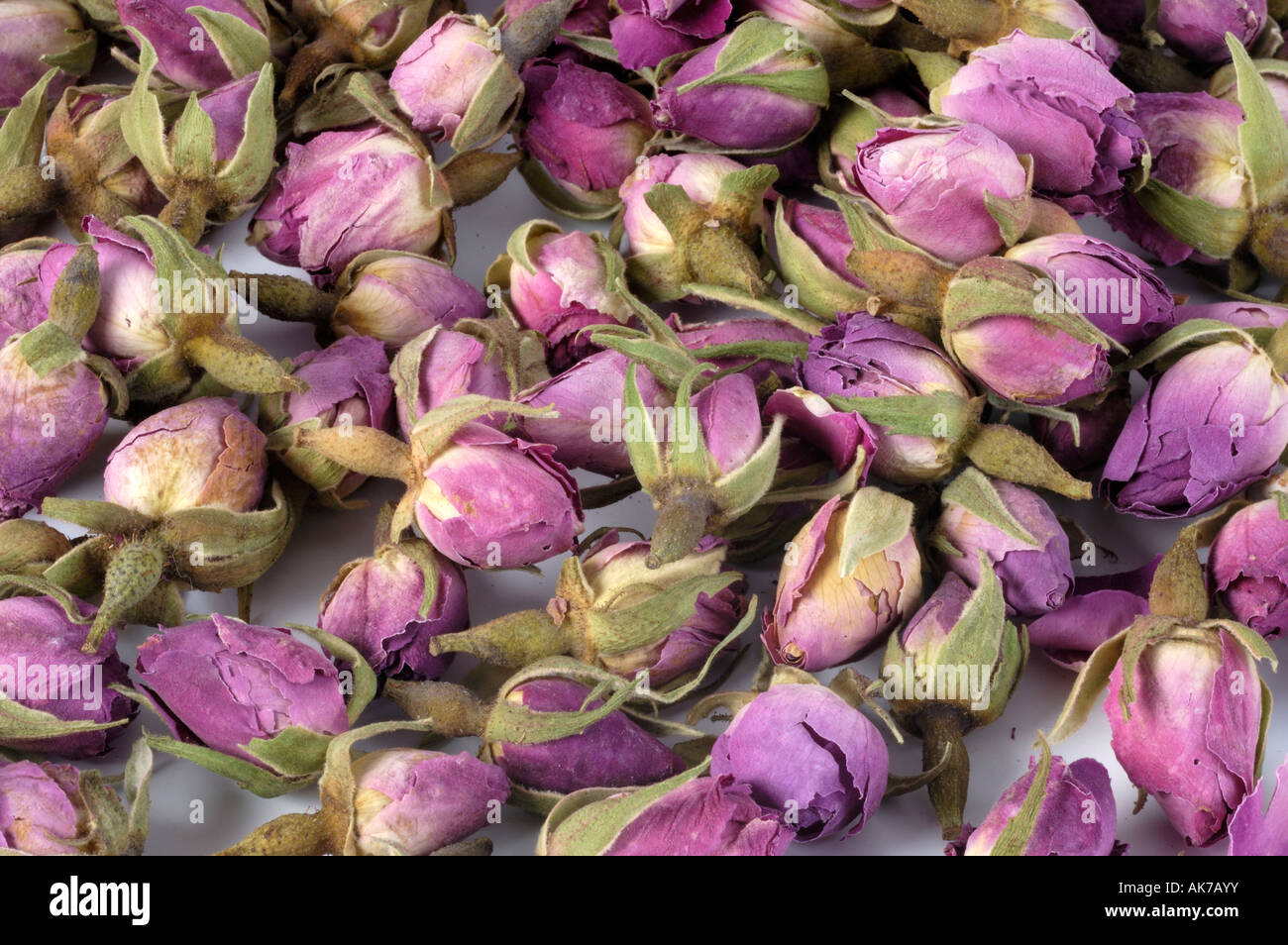 Dried Rose blossoms Stock Photo - Alamy