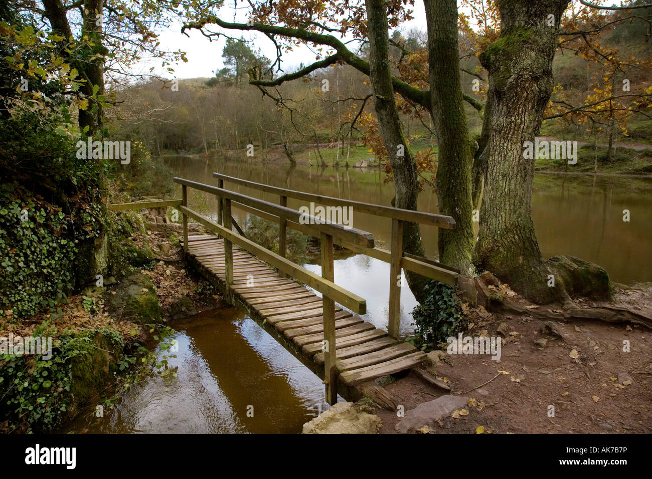Foret de paimpont hi-res stock photography and images - Alamy