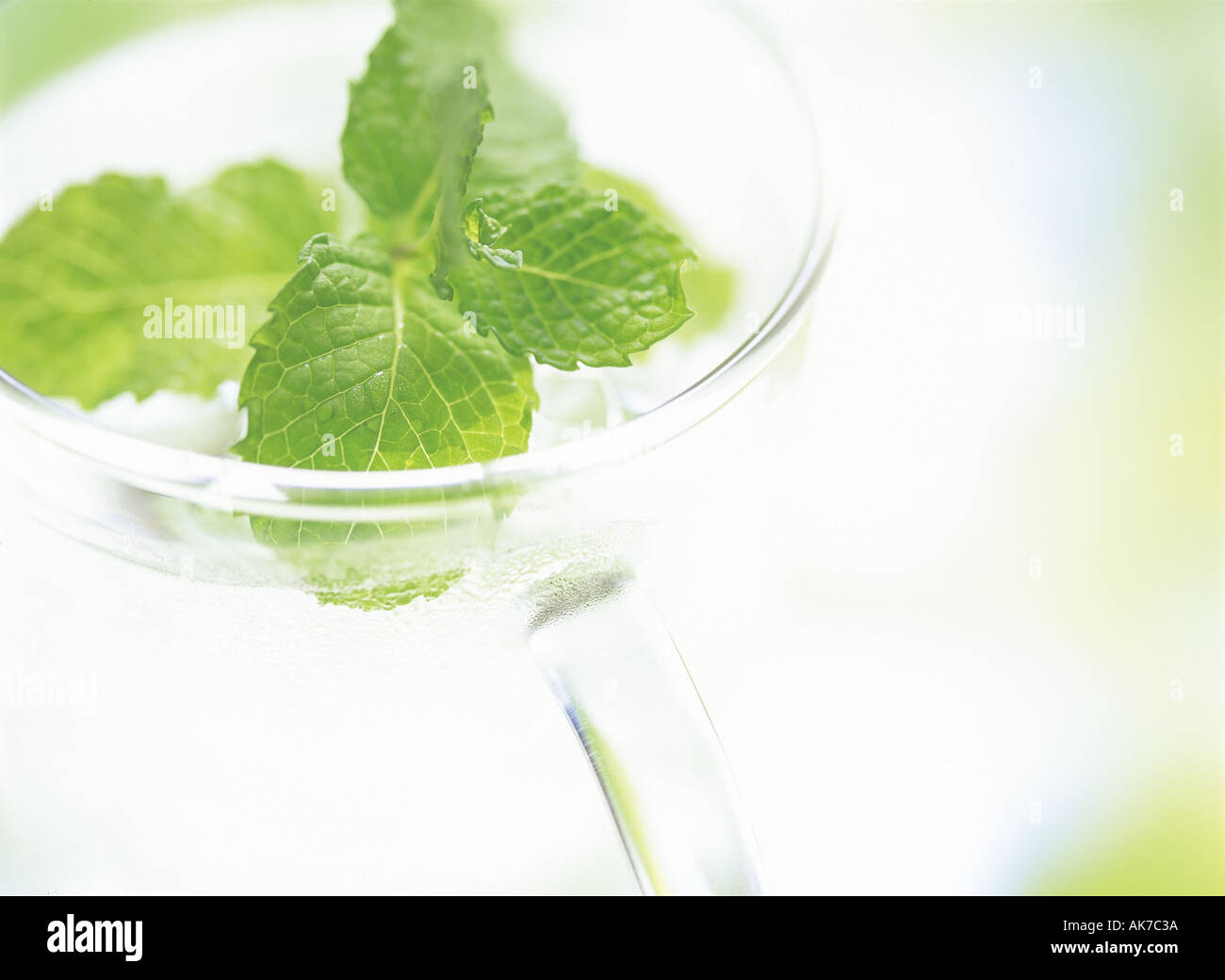 MInt in glass Stock Photo - Alamy