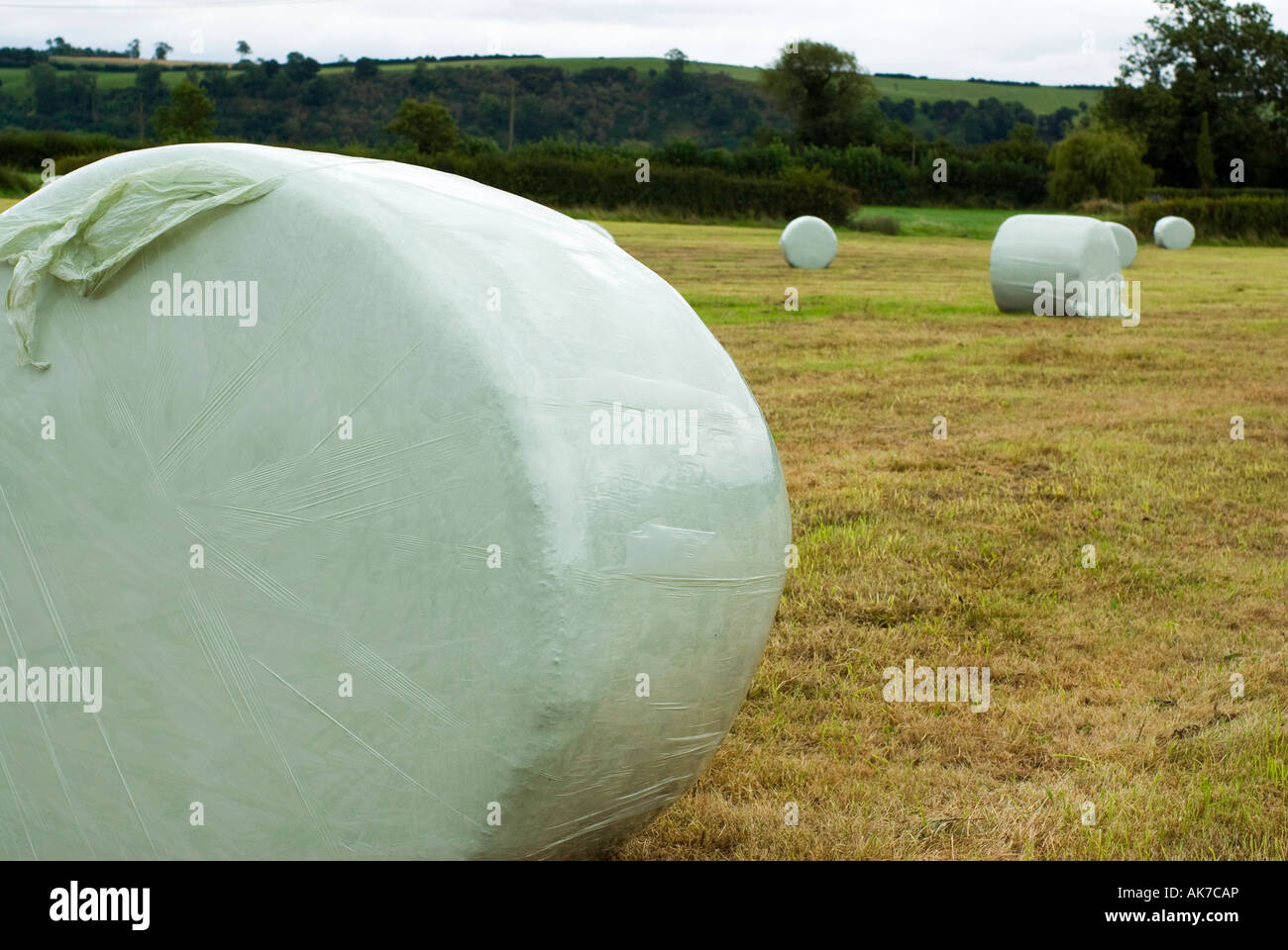 Wrapped in nylon hi-res stock photography and images - Alamy