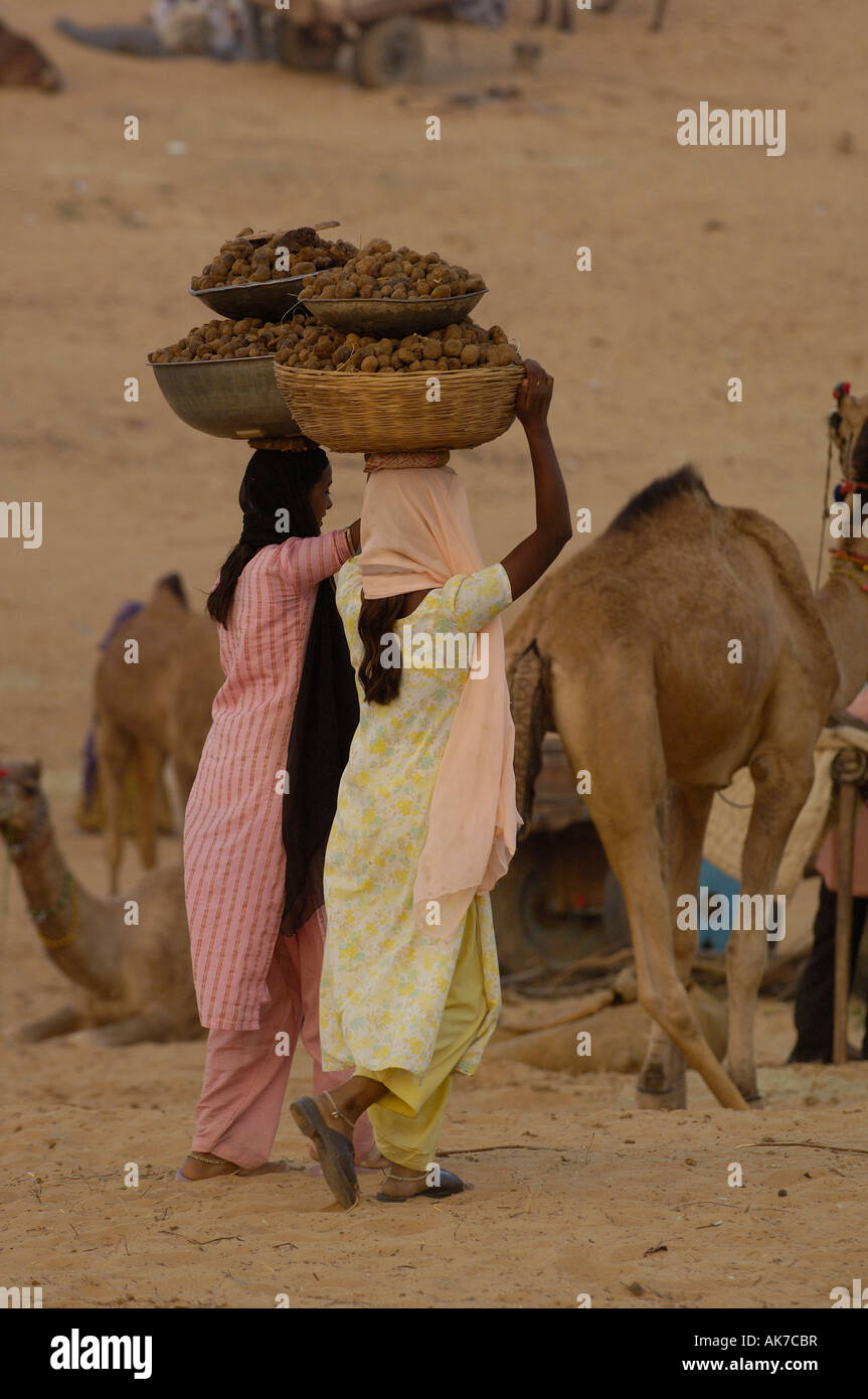 Camel dung hi-res stock photography and images - Alamy