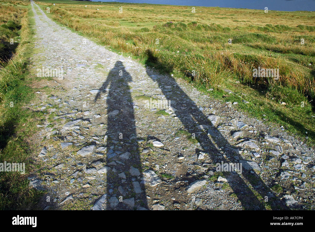 Long shadows in the evening sun, County Kerry, Ireland Stock Photo - Alamy