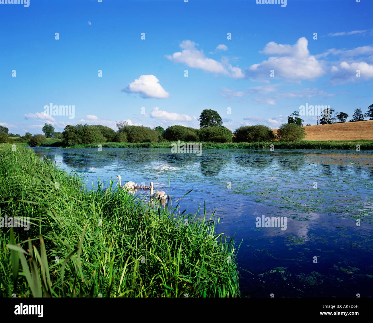 Moira lake hi-res stock photography and images - Alamy