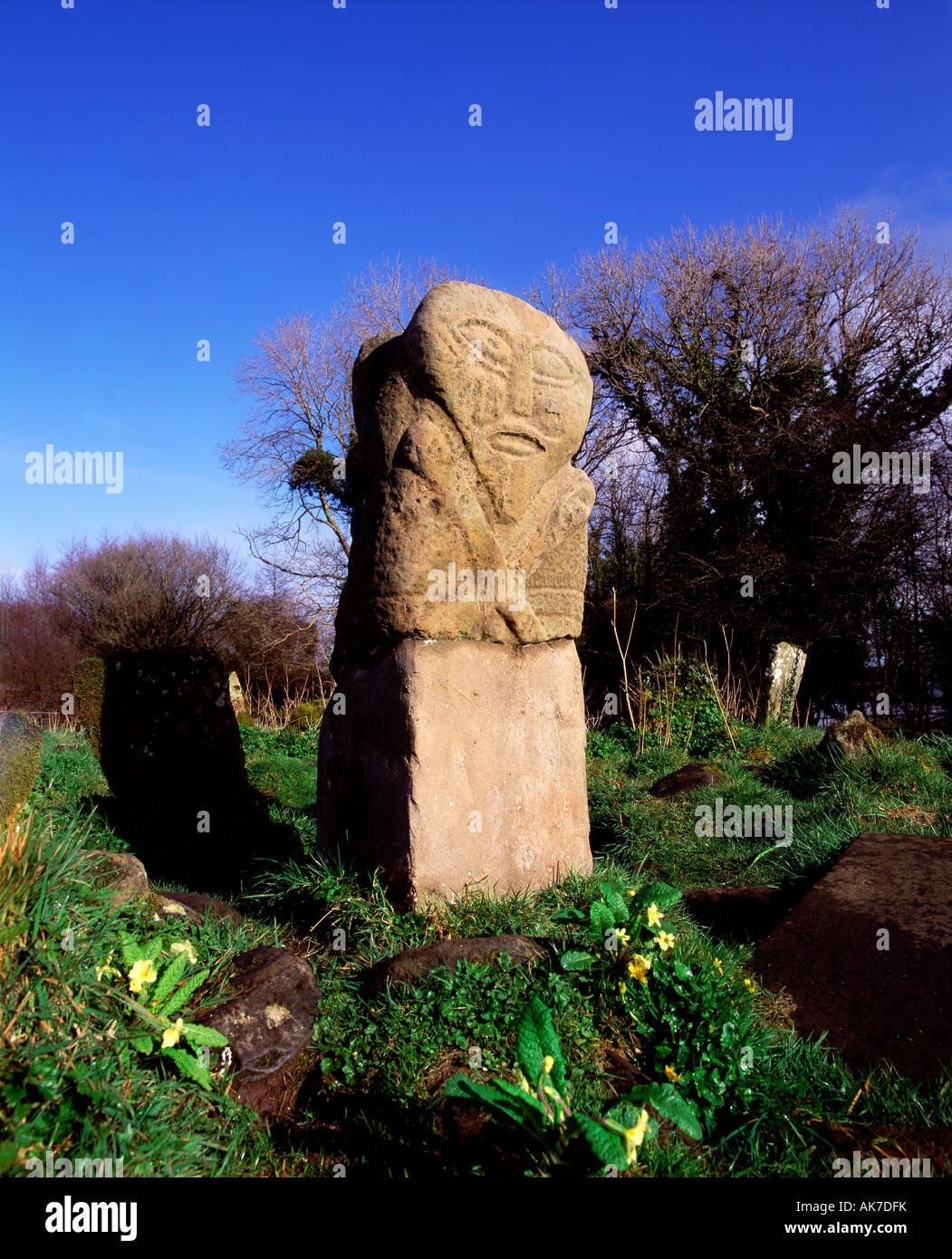 Janus Stone, Boa Island, Co. Fermanagh, Ireland Stock Photo - Alamy