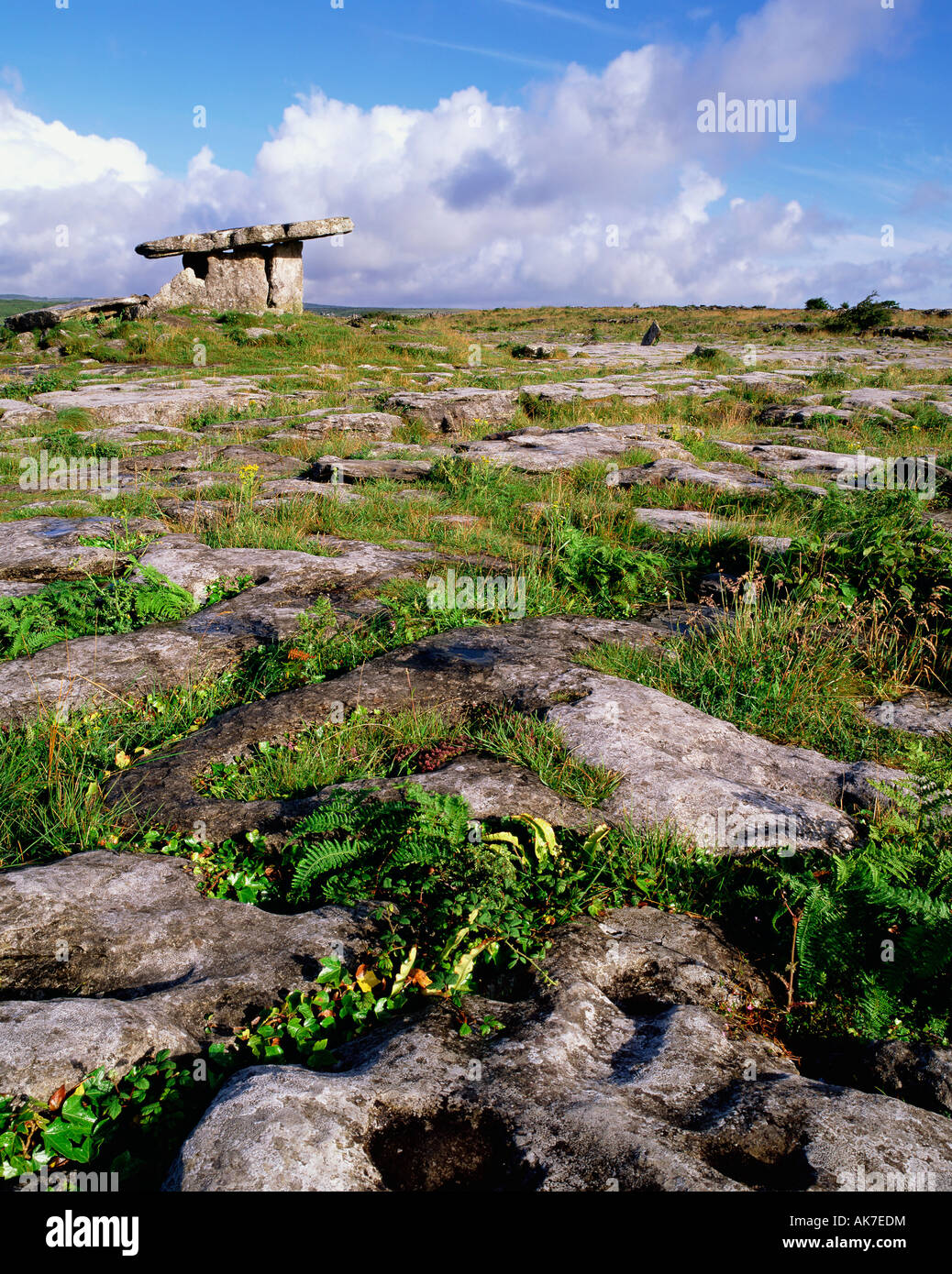 Poulnabrone Dolmen, The Burren, County Clare, Ireland Stock Photo - Alamy