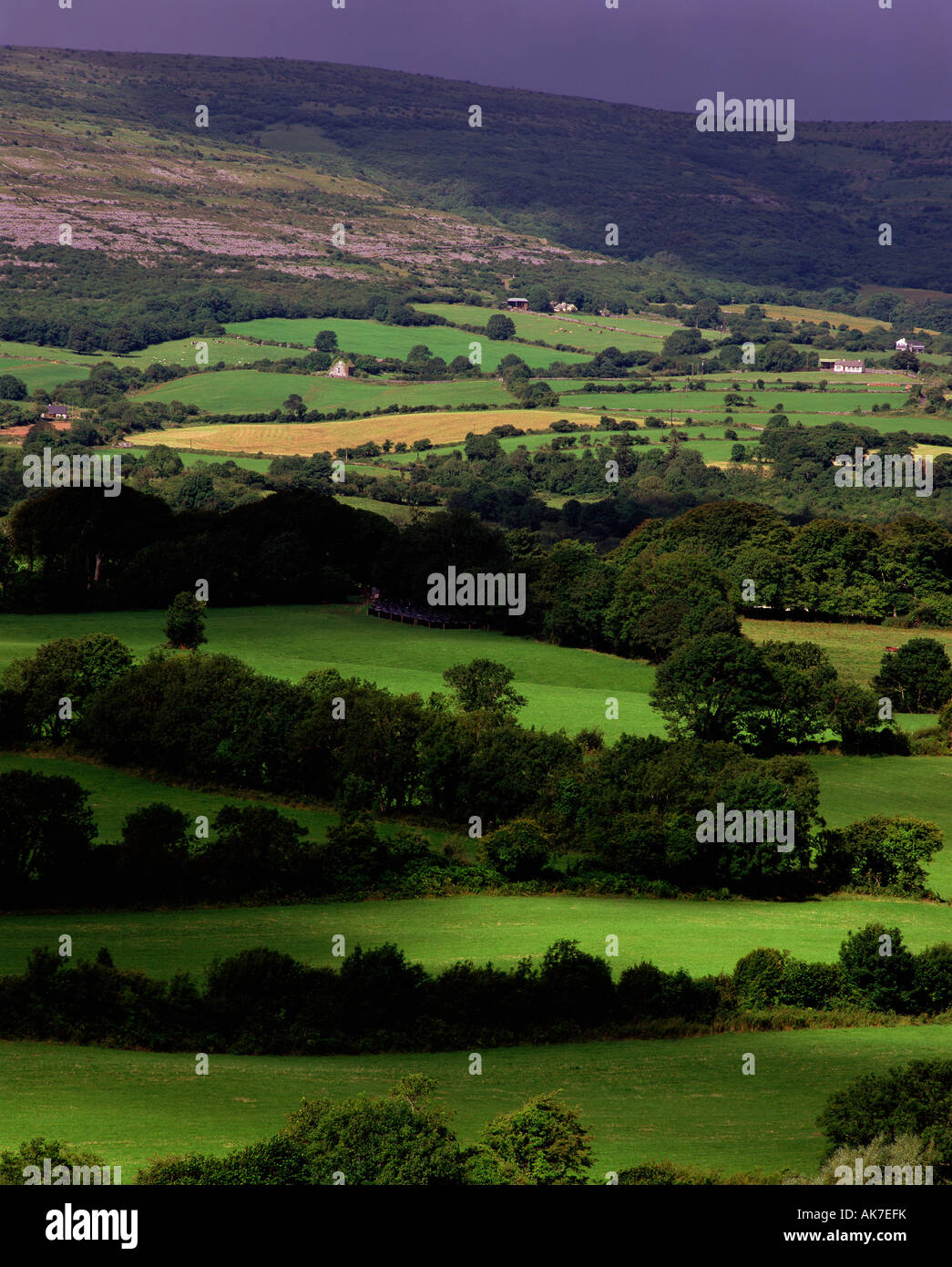 Killarney Valley, Killarney National Park, County Kerry, Ireland Stock ...