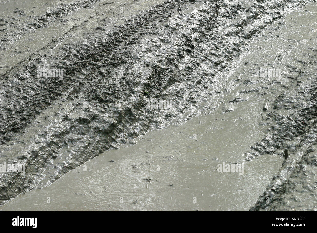 skid marks and tracks in mud Stock Photo - Alamy