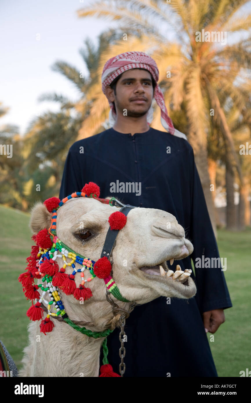 Arab culture, Smiling Young Arabian Camel driver with Decorated Arabian ...