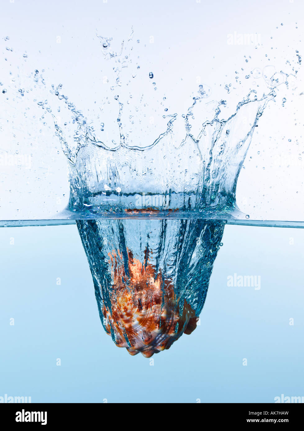 sea shell falling into water Stock Photo - Alamy