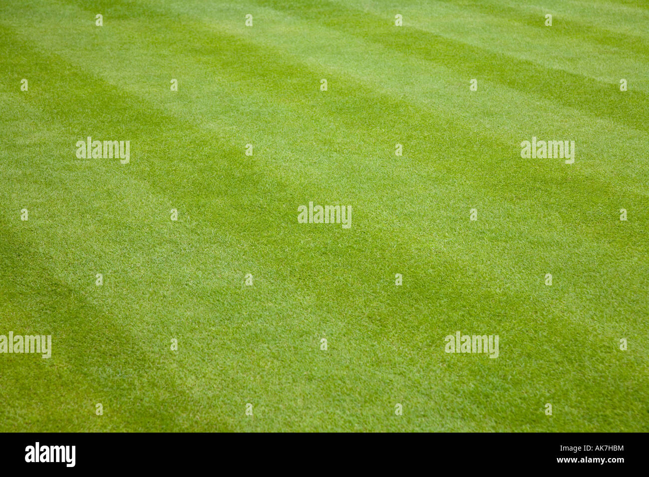 Stripy Lawn With Striped Grass Stock Photo - Alamy