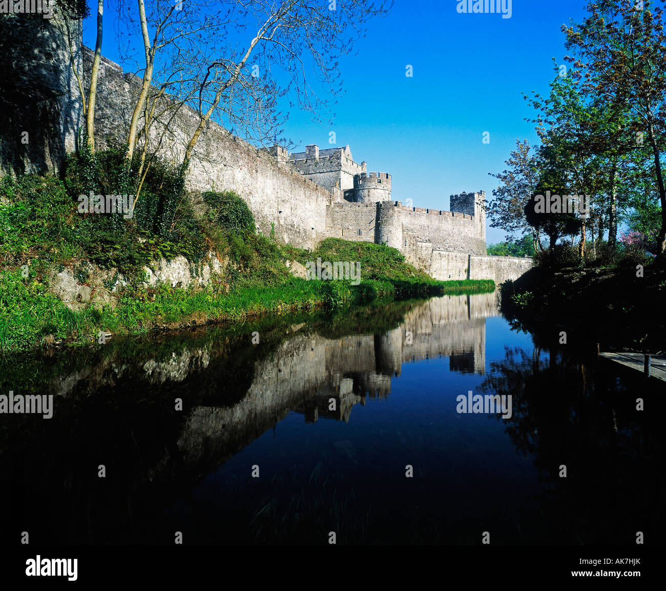 Cahir Castle in County Tipperary, Ireland Stock Photo - Alamy