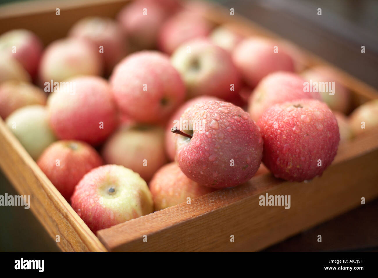 Box of Apples on an Organic Farm Stock Photo - Alamy