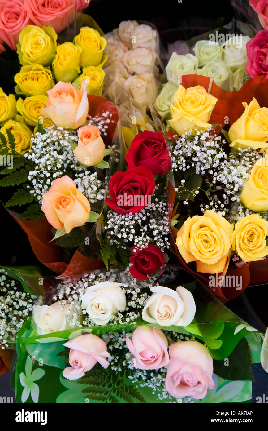 Fresh cutflowers hi-res stock photography and images - Alamy