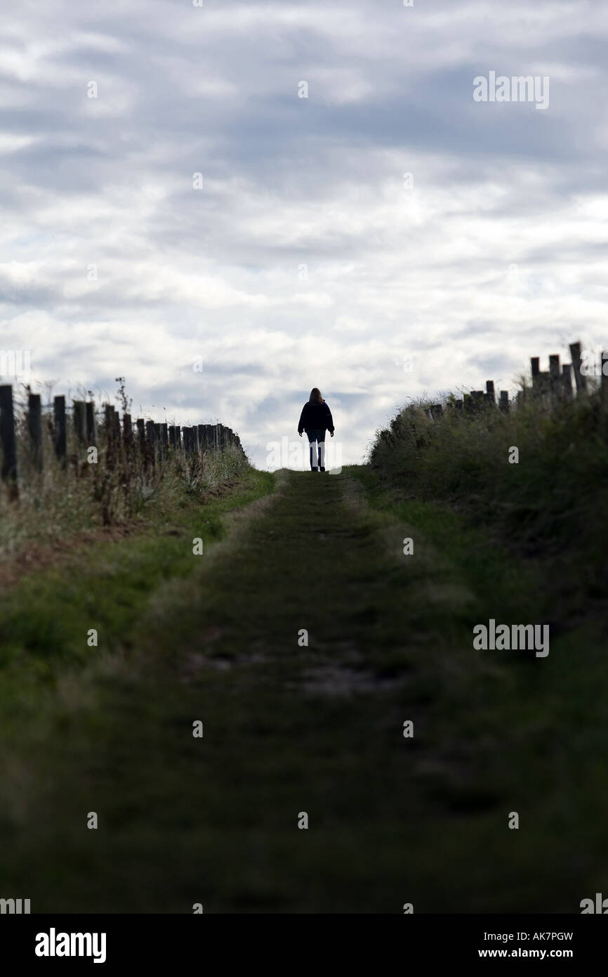 walking along a country path in farmland uk Stock Photo - Alamy