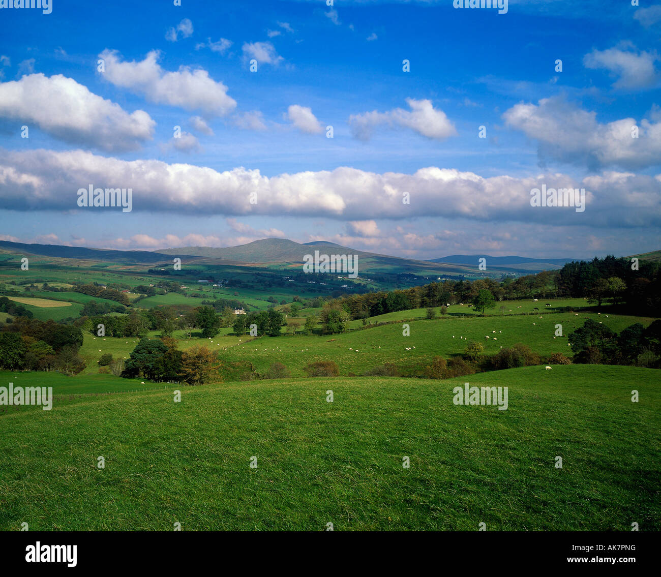 Sperrin Mountains, County Tyrone, Ireland Stock Photo - Alamy