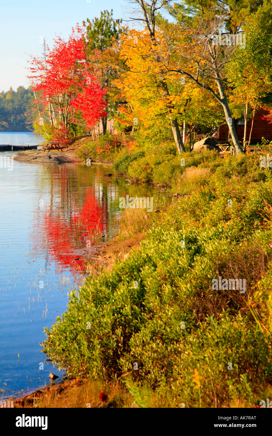 Northern Ontario Algonquin Park Fall colors Paradise Outdoor Activity ...