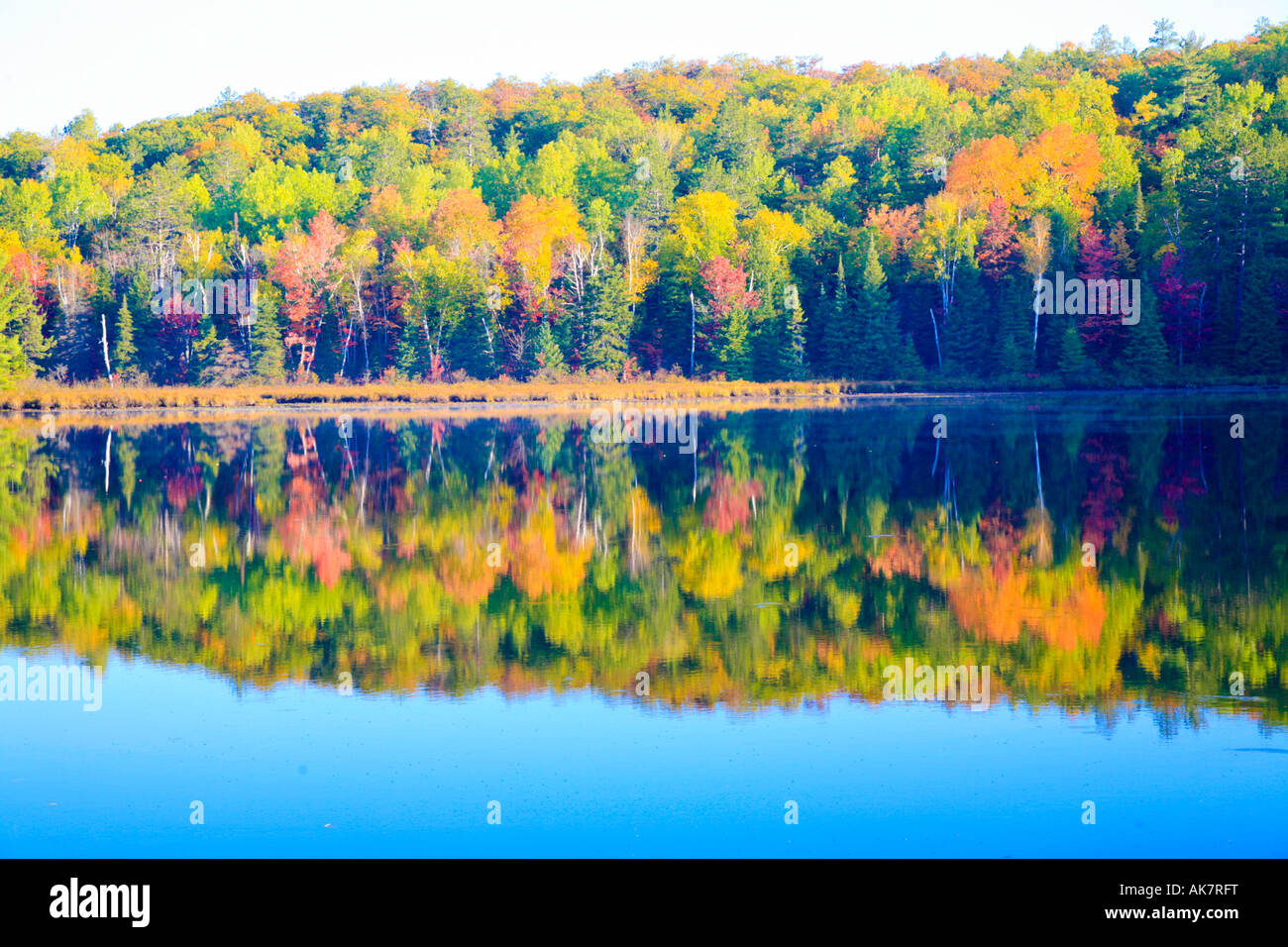 Reflecting lake in Northern Ontario Algonquin Park Fall colors Paradise ...