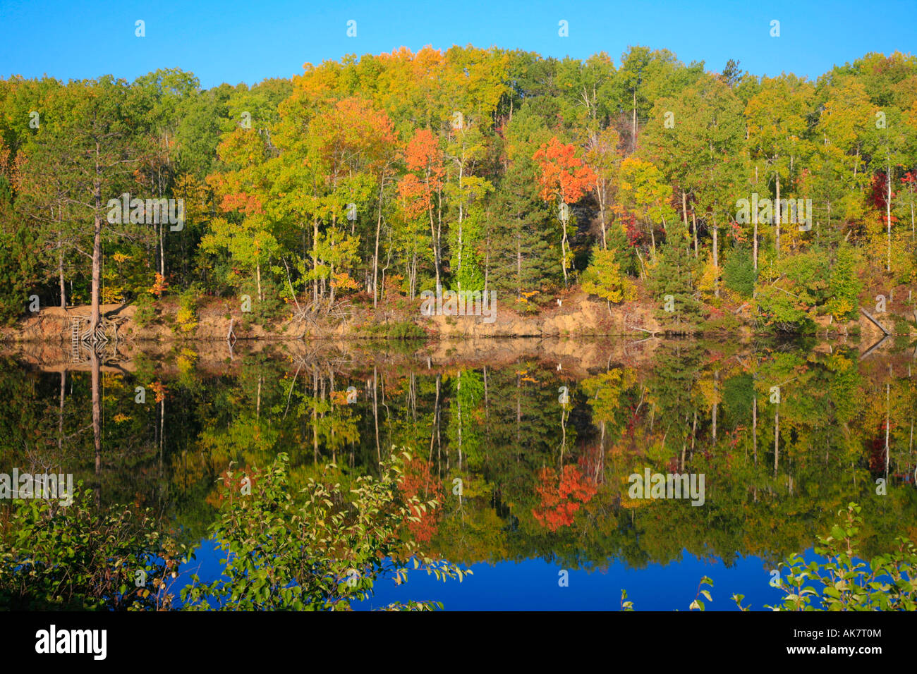 Trees in brilliant colors reflecting in lake in autumn in Northern ...