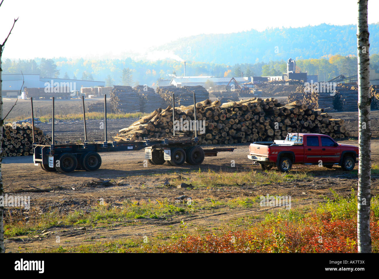 Northern Ontario Lumber Yard in Algonquin Park;Ontario;Canada Stock ...