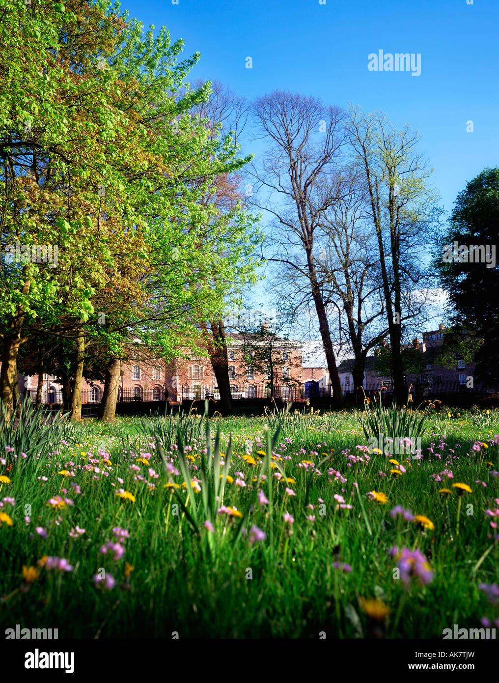 Co armagh hi-res stock photography and images - Alamy