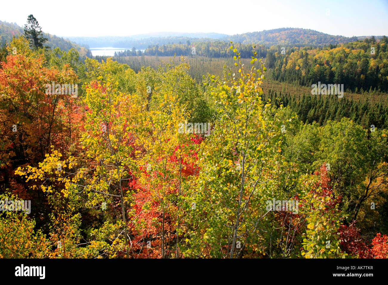 Northern Ontario Algonquin Park Fall colors Paradise Outdoor Activity ...