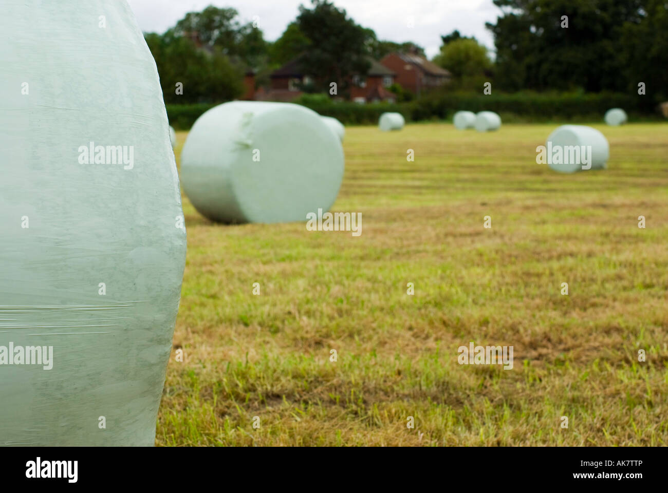 White plastic covered bales hay hi-res stock photography and images - Alamy