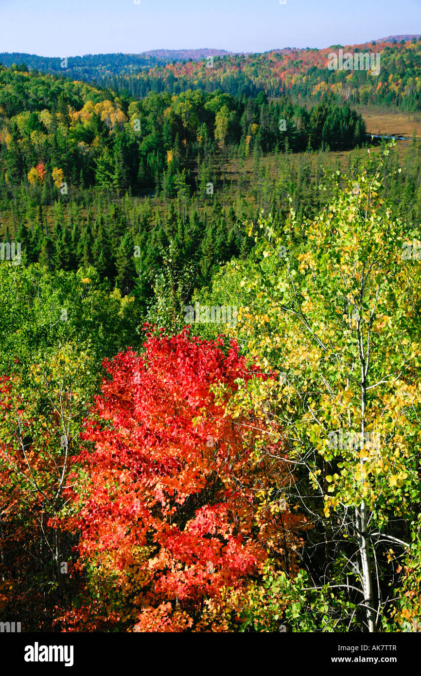 Northern ontario wetlands hi-res stock photography and images - Alamy
