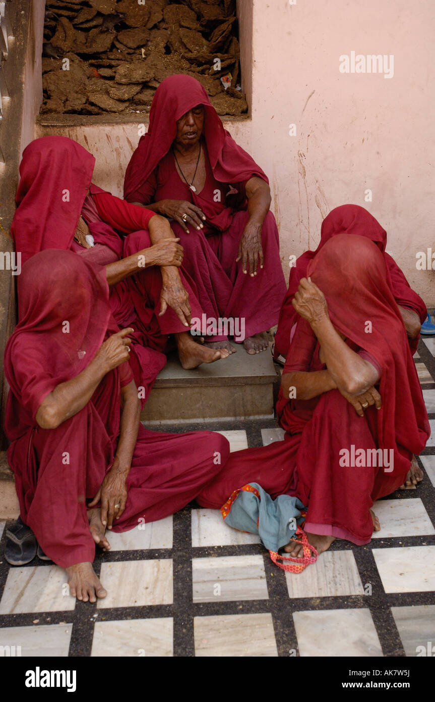 Devotees in Karni Mata Temple. Deshnoke Rajasthan, INDIA (THE RAT ...